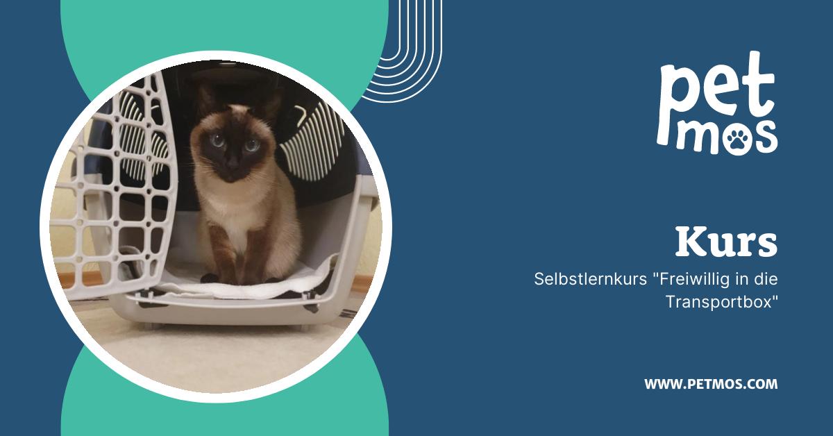 Selbstlernkurs "Freiwillig in die Transportbox" – Petmos